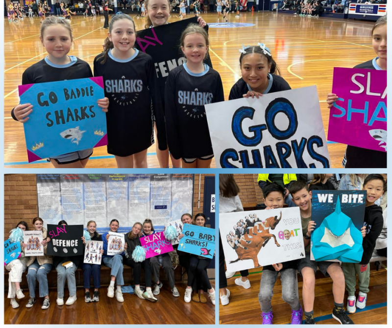 Home - Sutherland District Basketball Association Inc